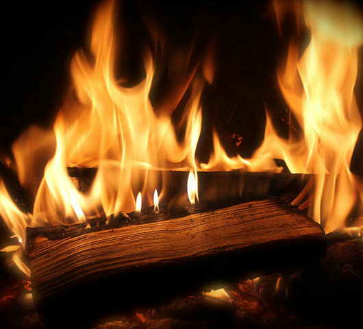 Keuzehulp haardhout - welke houtsoort past bij jou?